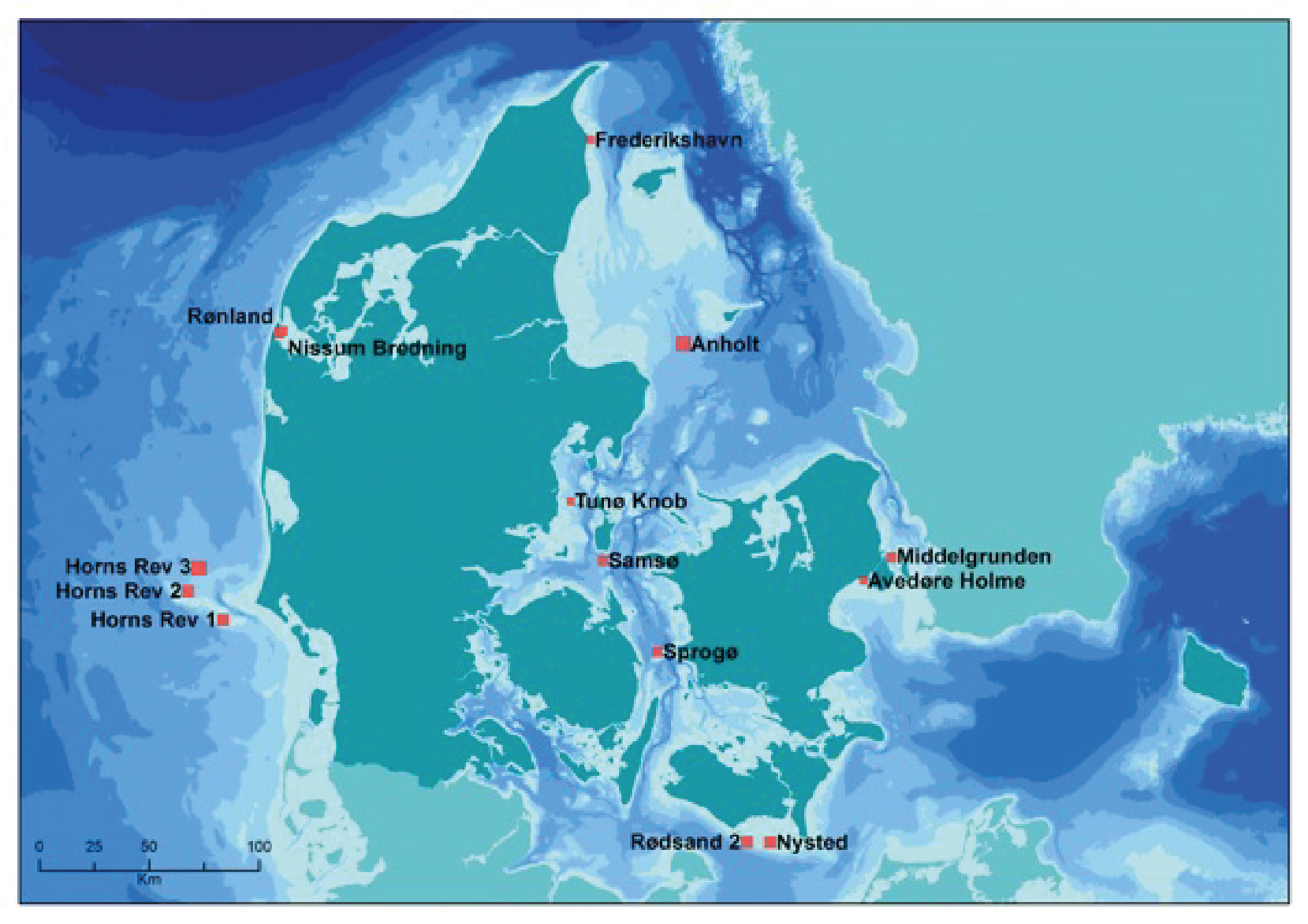 "Accommodating Biodiversity in Nordic Offshore Wind Projects"