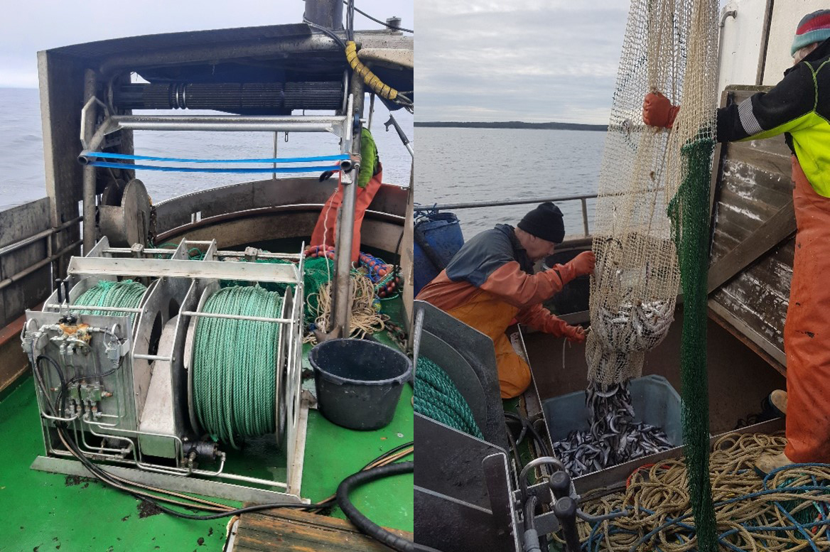 "Mitigating a social conflict between seal, conservation and fisheries ...